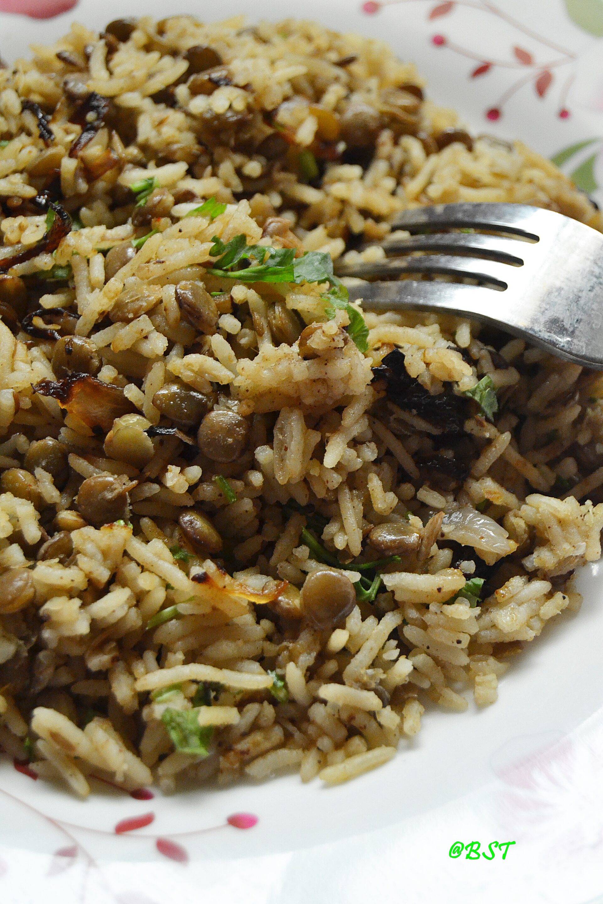 Mujadarah ~ Arab Style Lentil Rice - The Big Sweet Tooth
