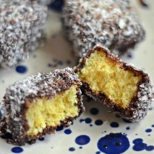 Lamingtons - The Big Sweet Tooth