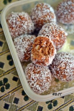 Chocolate Biscuit Balls - The Big Sweet Tooth