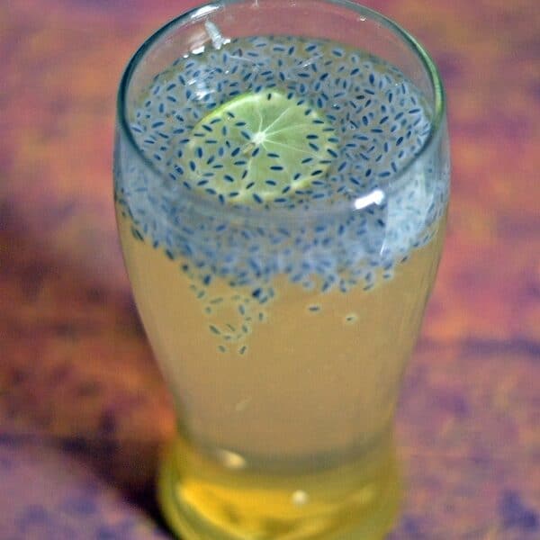 Nannari Sarbath | Sarsaparilla Lime Drink - The Big Sweet Tooth