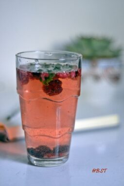 Mixed Berry Mojito {Non-Alcoholic} - The Big Sweet Tooth