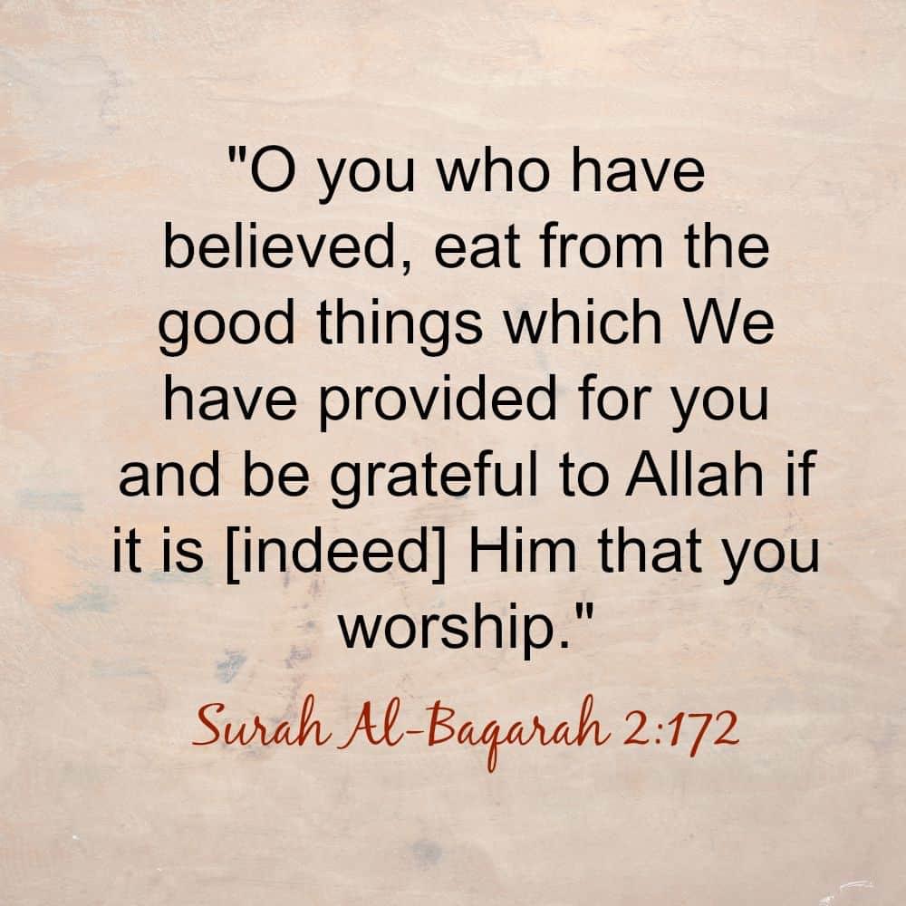 Adeni Chai ~ Yemeni Milk Tea - The Big Sweet Tooth